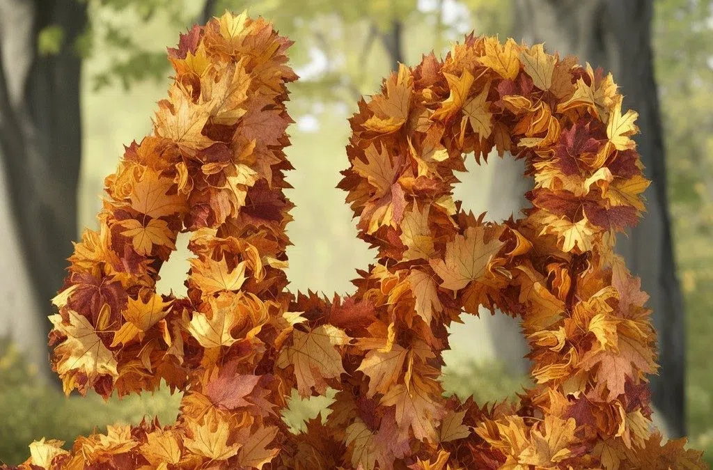 The Niagara 48 | COUNTRY 89