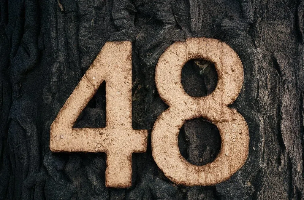 The Niagara 48 | COUNTRY 89