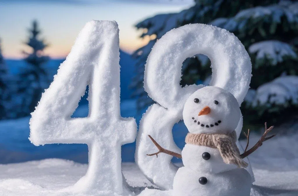 The Niagara 48 | COUNTRY 89