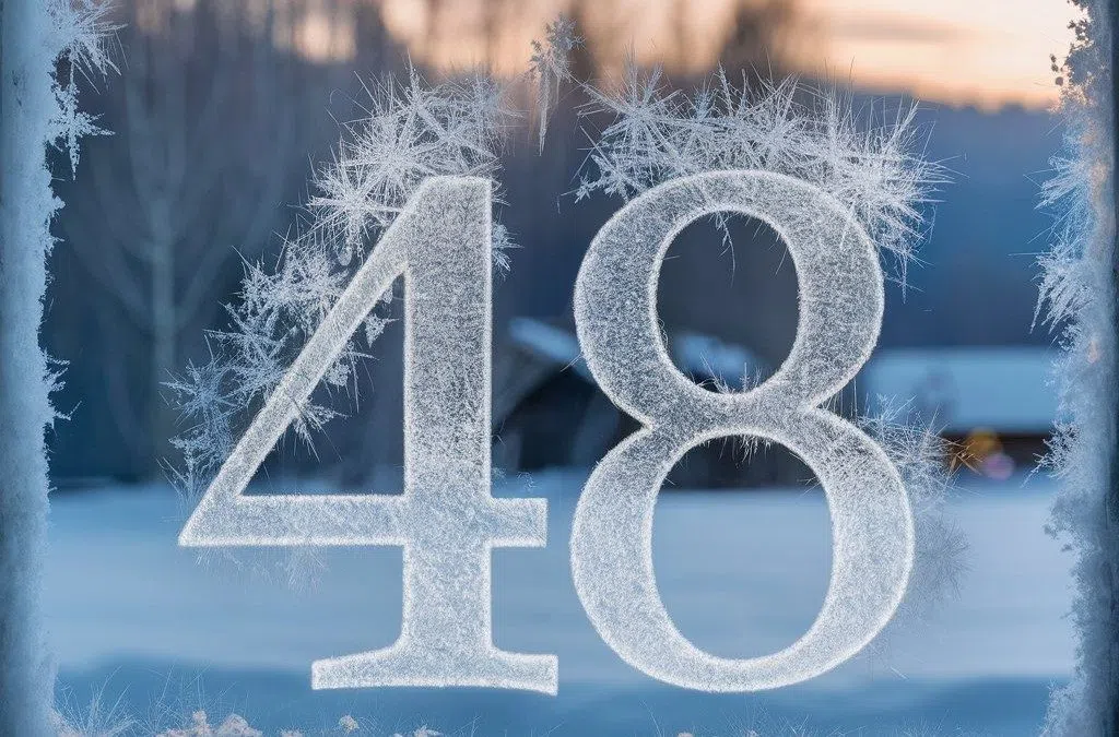 The Niagara 48 | COUNTRY 89