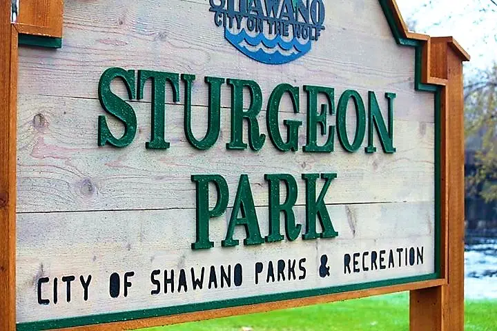No Sturgeon Spawn Watch In Shawano | TCHDailyNews