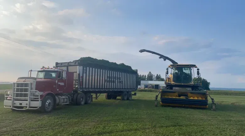 June Dairy Month Dairy Farm Showcase | TCHDailyNews