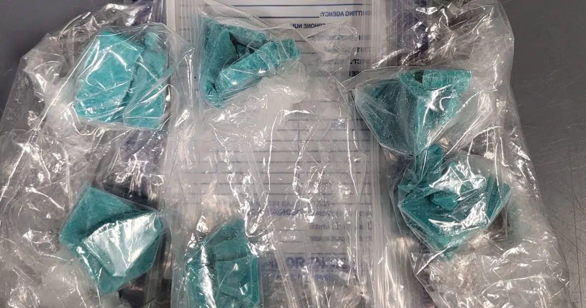 Drug bust in Regina nets nearly half a kilo of fentanyl | 980 CJME