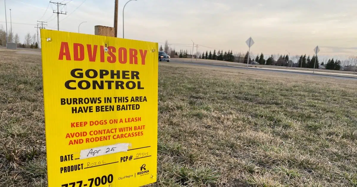 Regina’s gopher control program set to begin | 980 CJME
