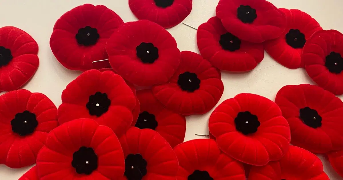 Royal Canadian Legion’s Poppy Campaign kicks off in Saskatchewan | 980 CJME