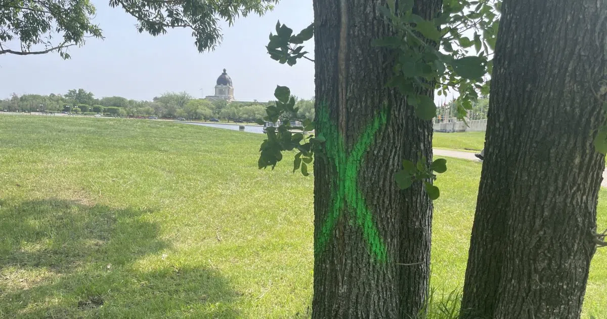 Stairwell, path under Albert Street Bridge closed during construction ...