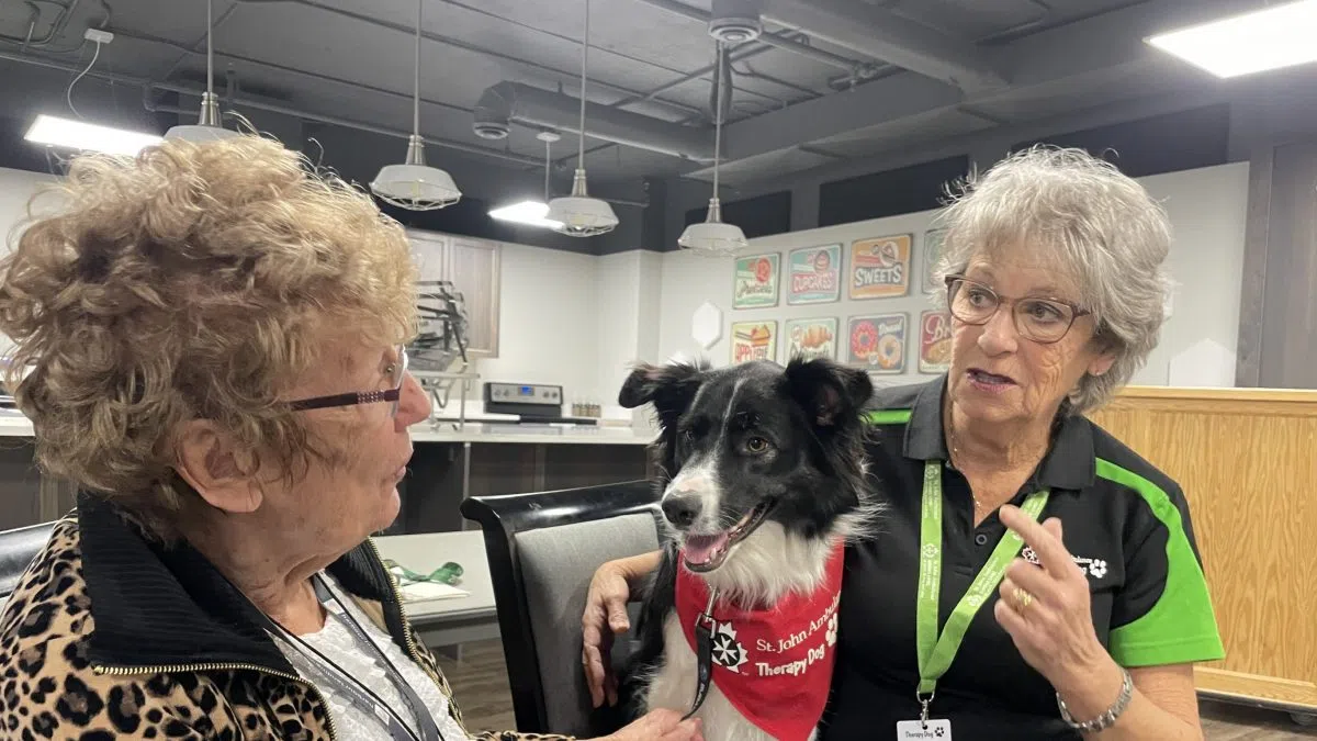 St. John Ambulance brings ‘Joy’ with therapy dog program | 650 CKOM