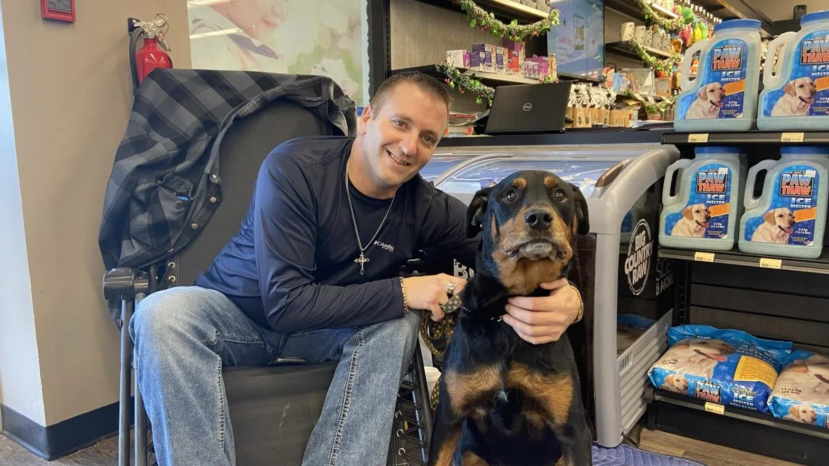 ‘The greatest dog:’ Owner trying to get 1,000 cuddles for dying dog ...