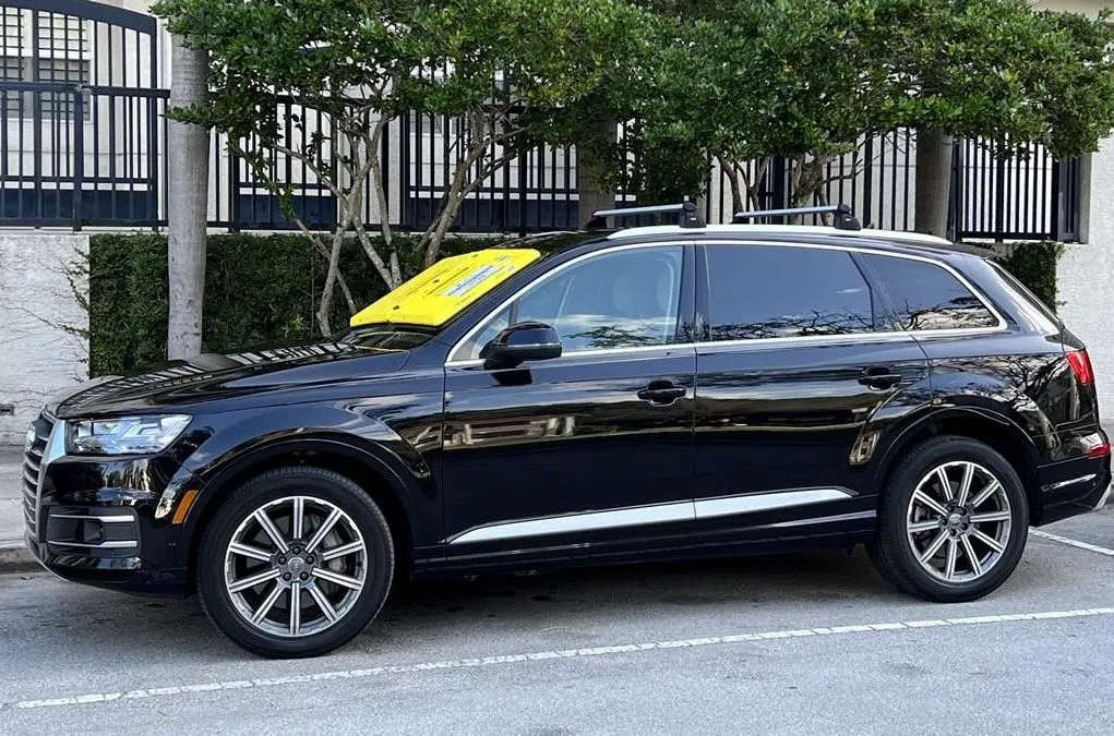 What’s a Barnacle? It’s yellow, sticks and screams if you try to pry it ...