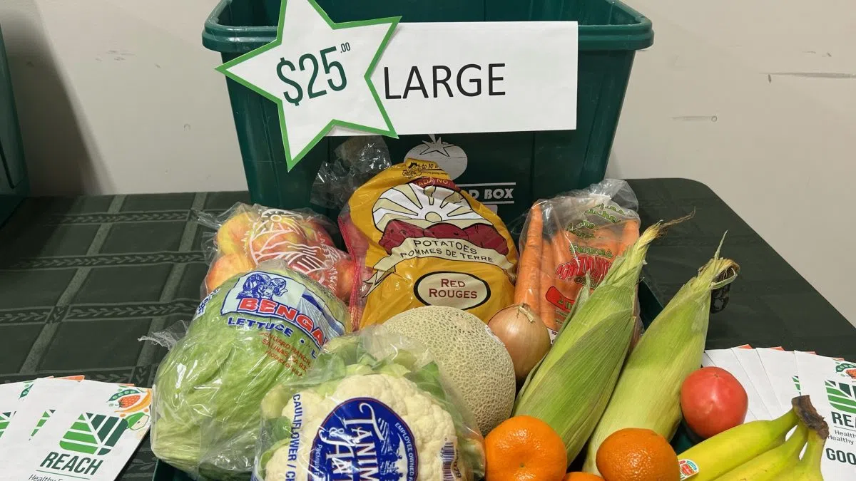 More people in Regina are using Good Food Boxes for cheaper produce ...