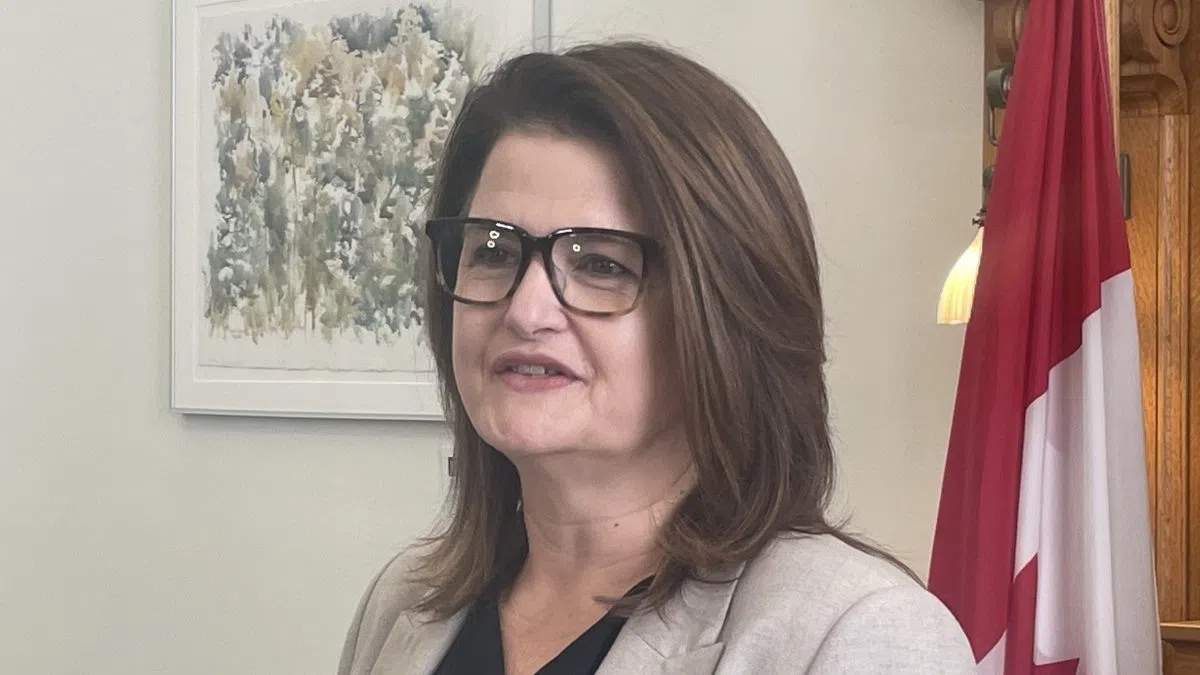 All 27 NDP members gain role as critic in shadow cabinet | 980 CJME