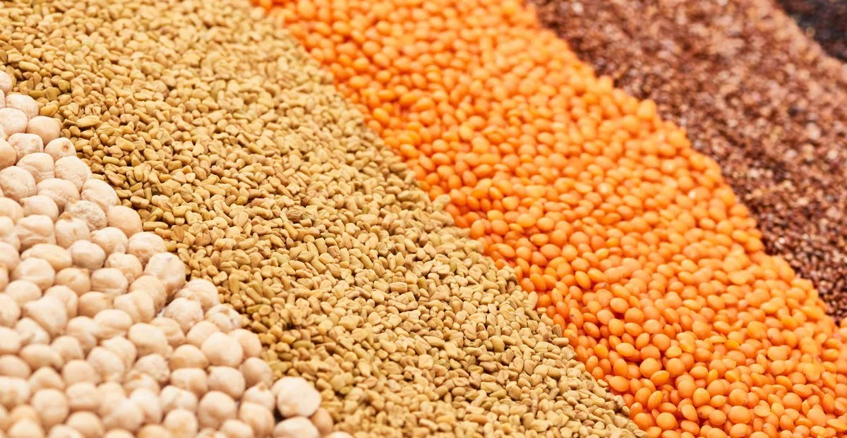 RealAg talks Biofuel Policy with NOPA | 980 CJME