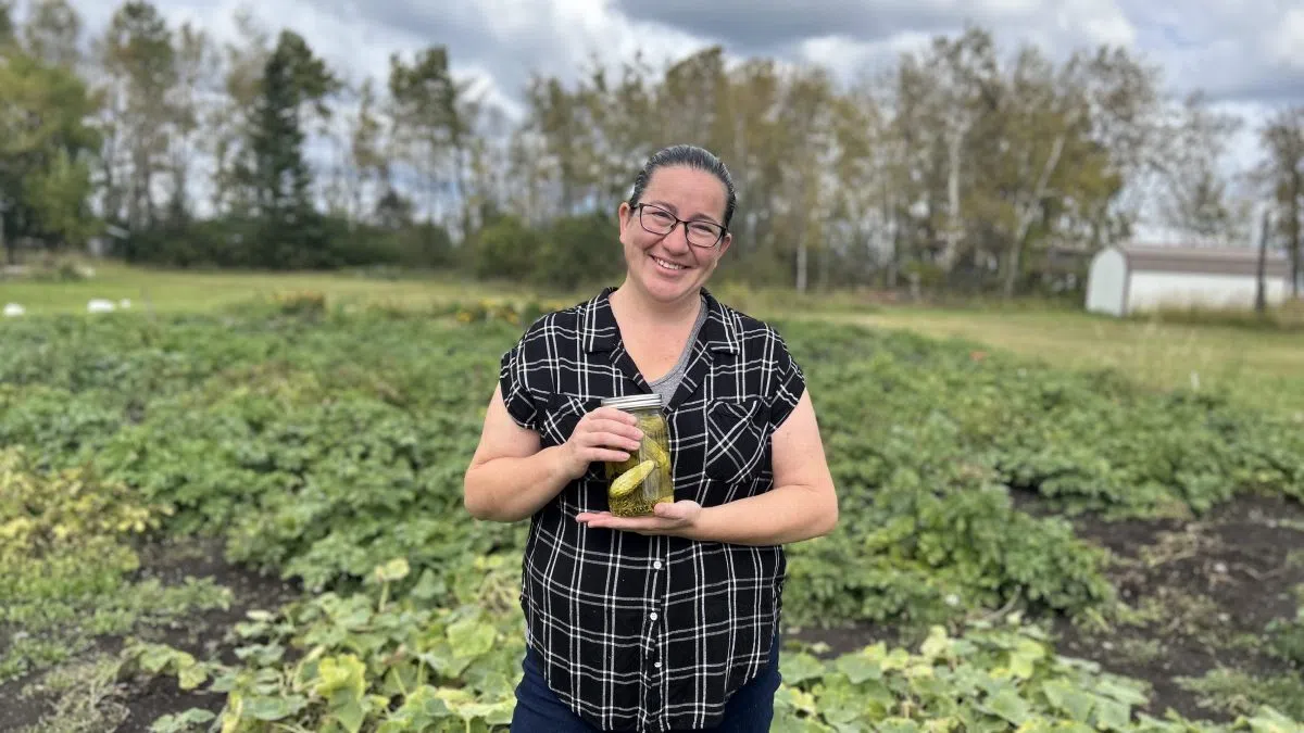 Preserving traditions: Keeping the past alive through pickling | 980 CJME