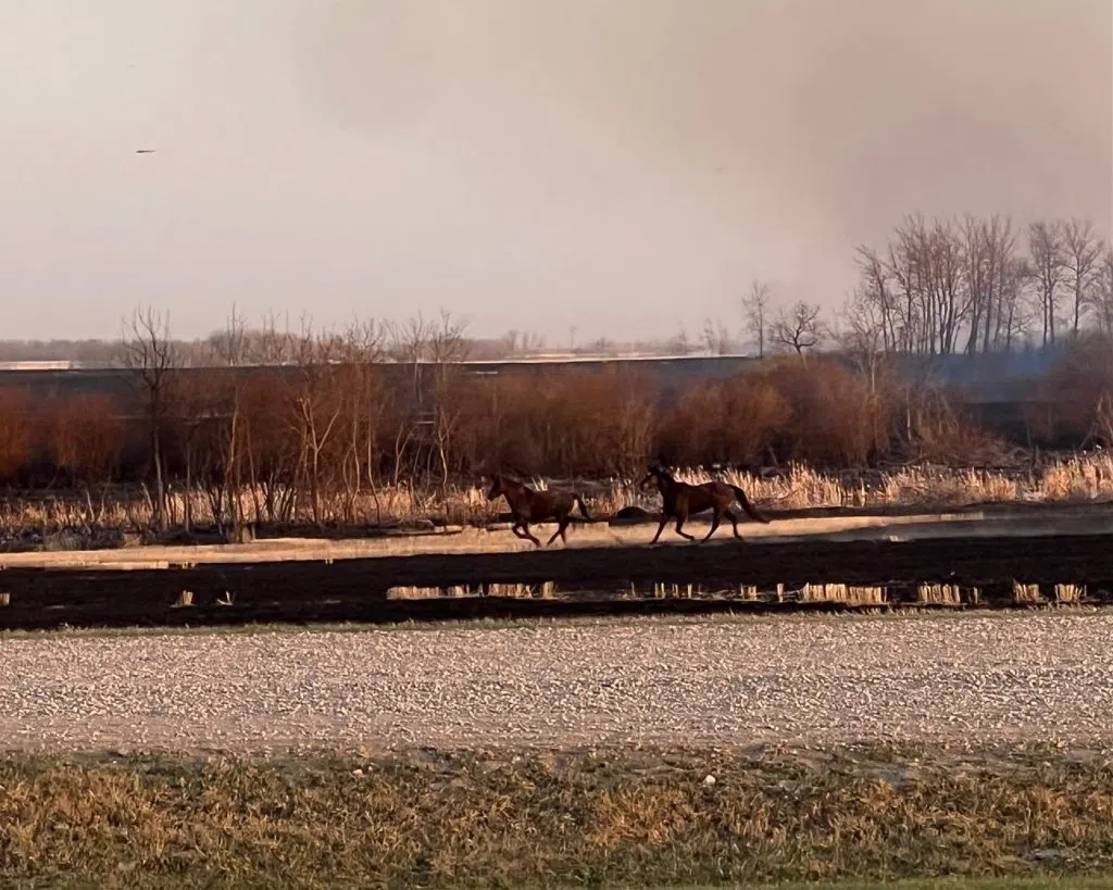 ‘We need a break’: James Smith Cree Nation Chief urges caution ...