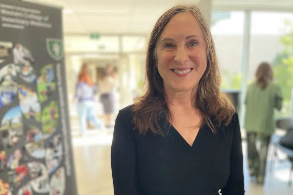 New U of S diagnostic equipment will help treat animals with cancer ...