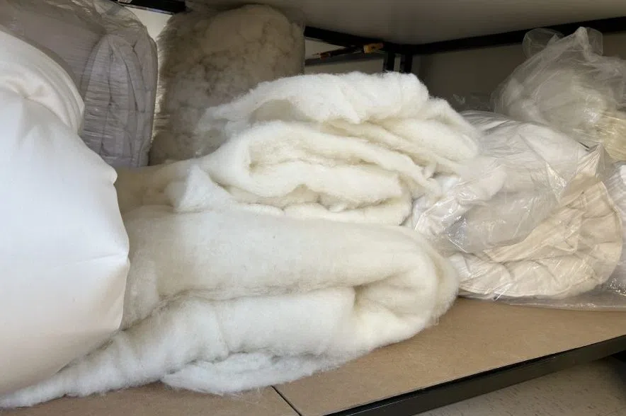 From sheep to sleep: A Saskatchewan couple’s woolly success story | 980 ...