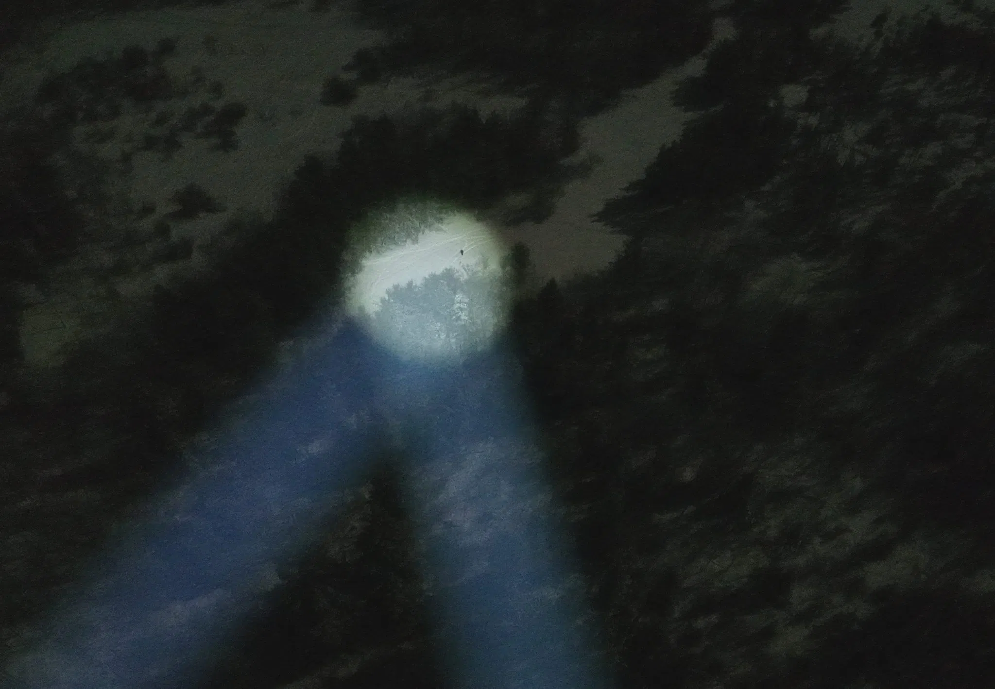 Drone, dogs, snowmobiles used to find victims in northern Sask. forest ...