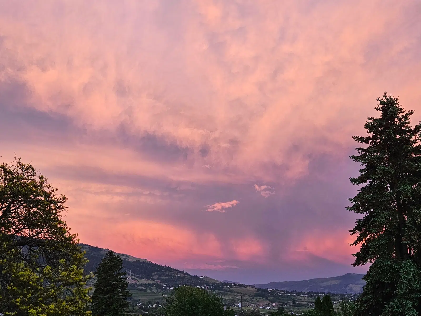 CORDUFF, Margaret “Meg” Elizabeth | Vernon Matters