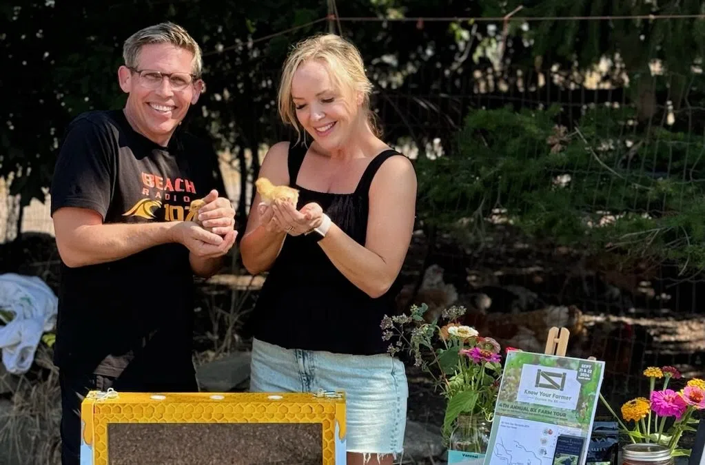 Hey Bee-yotch! | Vernon Matters