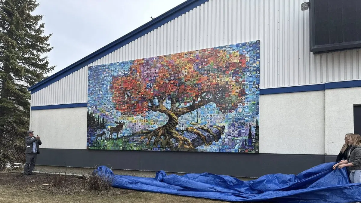 Town of Drayton Valley unveils new public artwork as part of Murual ...