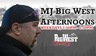 Stolen truck observed at Parkland County gas station leads to arrest ...