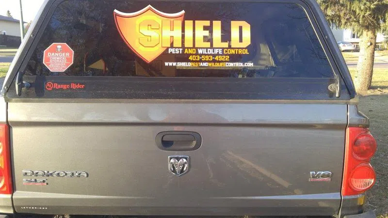 Shield Pest and Wildlife Control: Helping rid your home of unwated ...