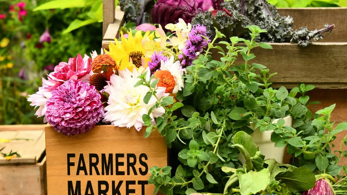 Vendors wanted for the Calabogie Farmers’ Market | 96.1 Renfrew Today