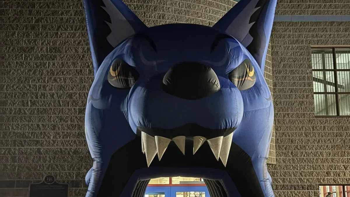 Renfrew Wolves, Timberwolves add key players before hitting the ice ...