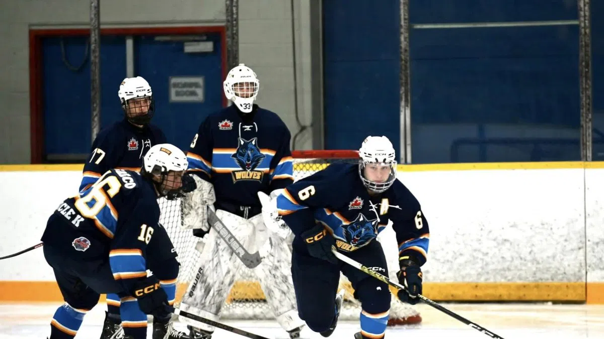 Fans score free admission as Renfrew Wolves and Timberwolves team up ...