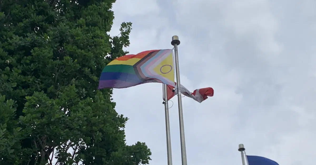 Norwich Councillor Who Pushed To Ban Pride Flags On Municipal Property ...
