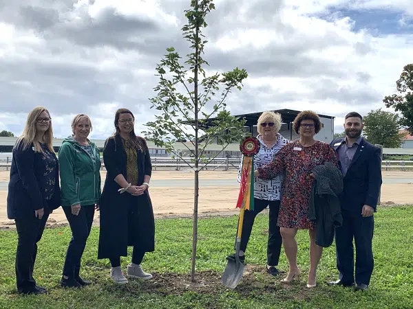 Tree Planting Begins At The Norfolk County Fairgrounds | NorfolkToday.ca