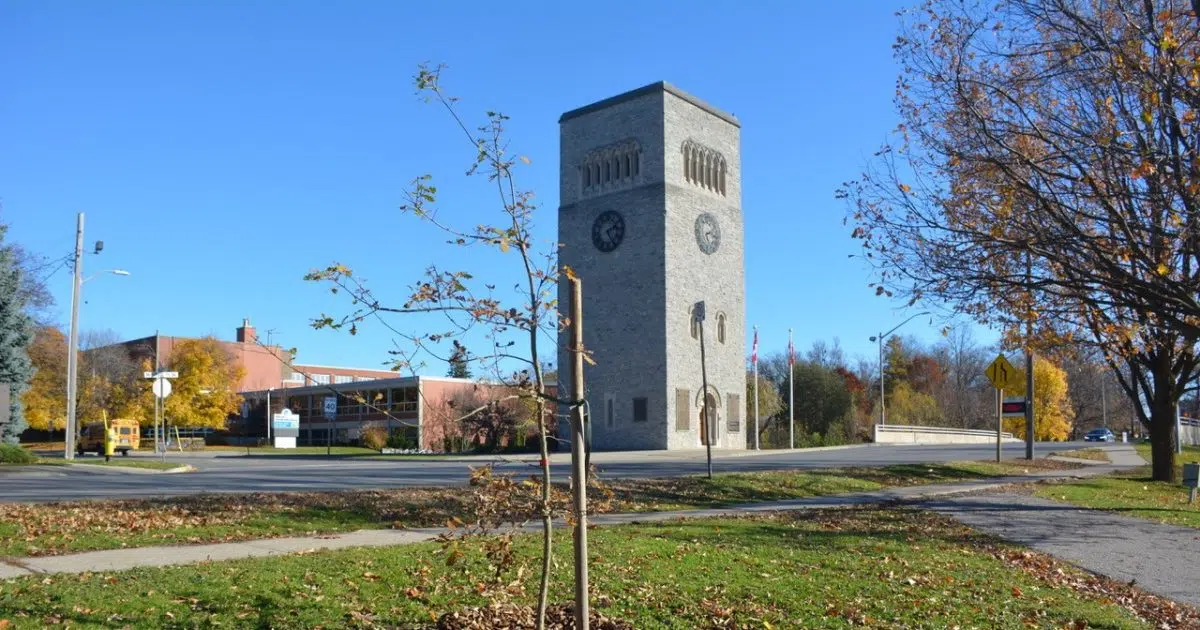 Vimy Oak Tree planted in Simcoe | NorfolkToday.ca