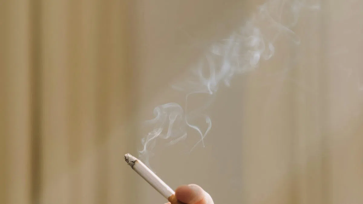 Haldimand OPP held seize over 8 million contraband cigarettes over a ...