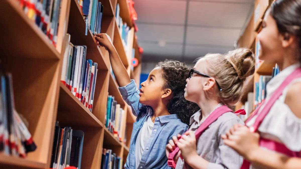 Norfolk County Public Library launches exciting reading challenge ...