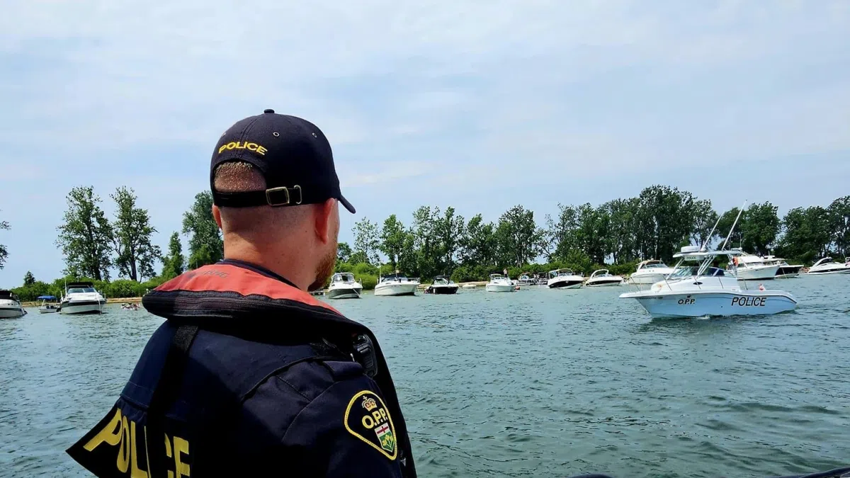 Pottahawk Sunday is almost here | 90.5 Exeter Today