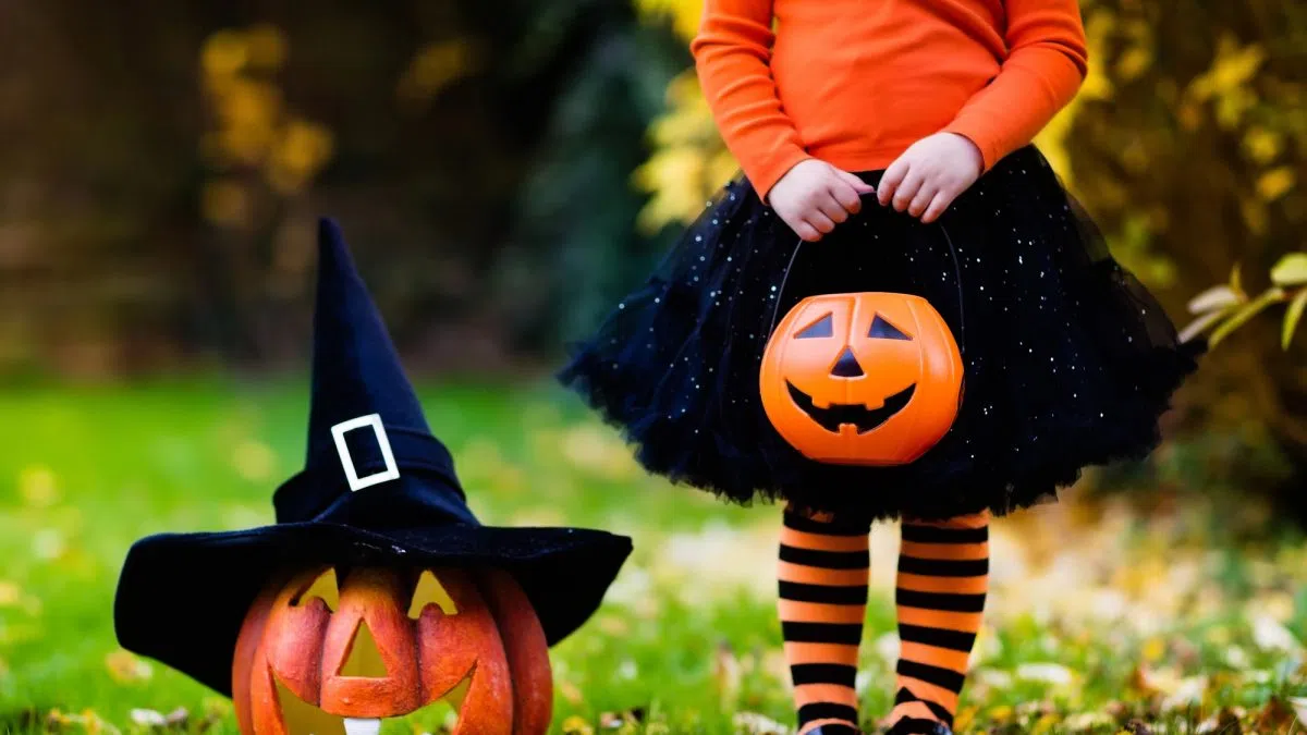 What’s Good Norfolk? Spooktacular fun returns to Marburg Hall for ...