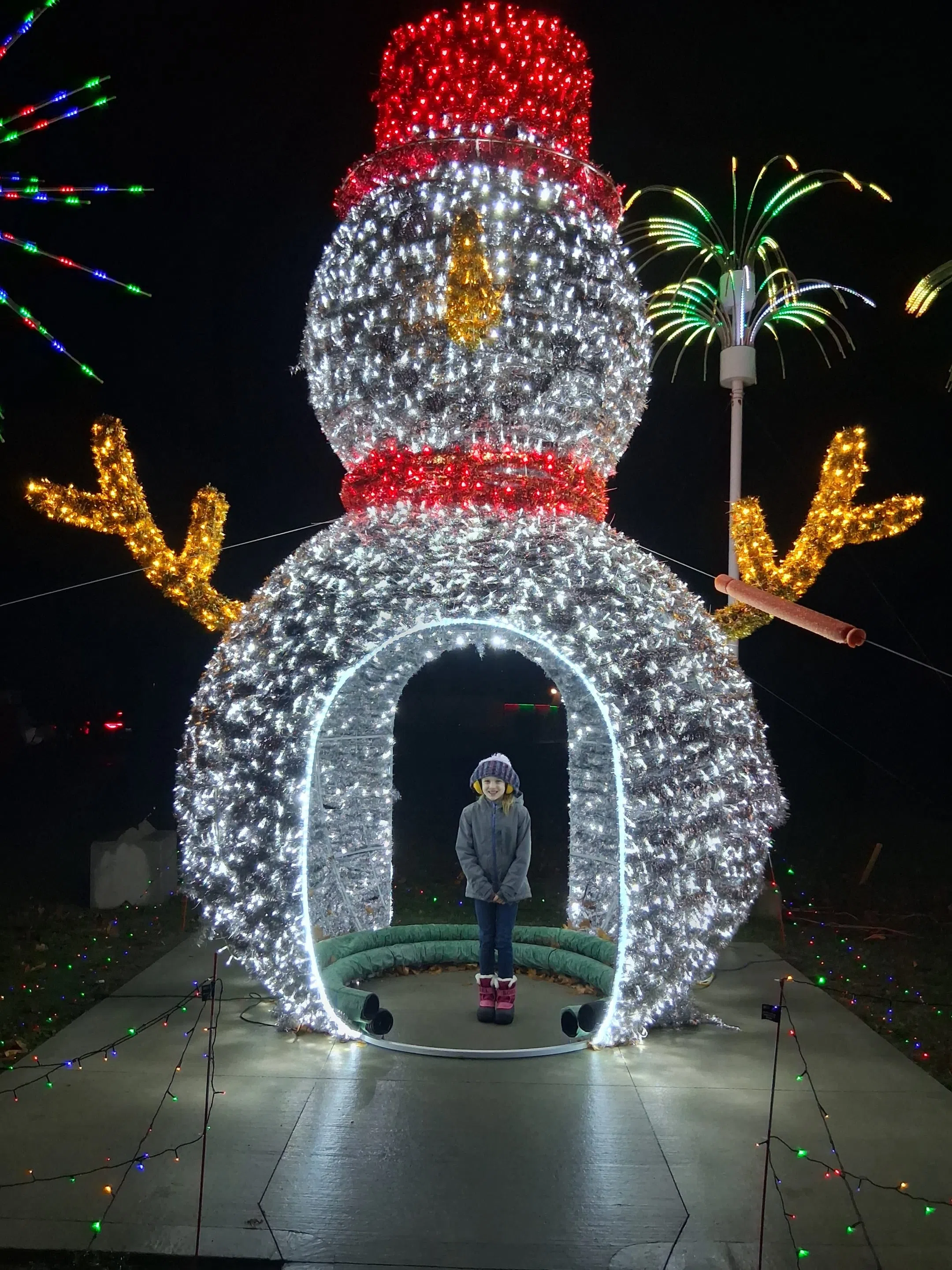 What’s Good Norfolk? Evolution theme brings sparkle and tradition to ...