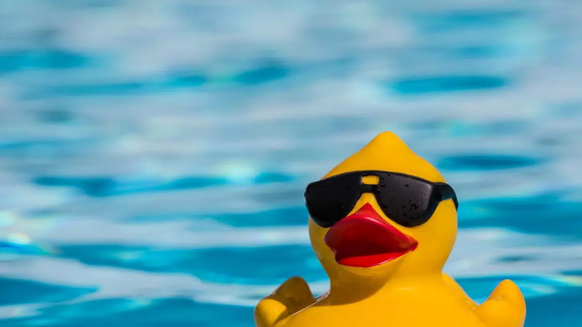 Rubber Duckie… you’re the one…. | 93.3 The Peak