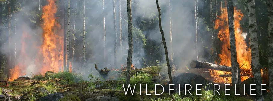 Wildfire Relief | 104.3 The Breeze