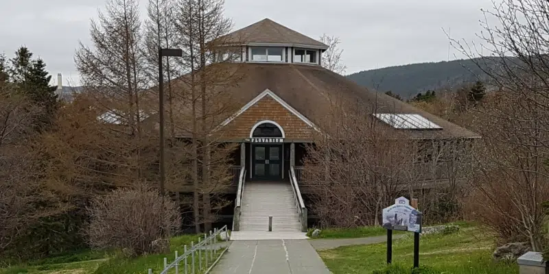 After Turbulent Year Fluvarium Enters Partnership with Puglisevich | VOCM