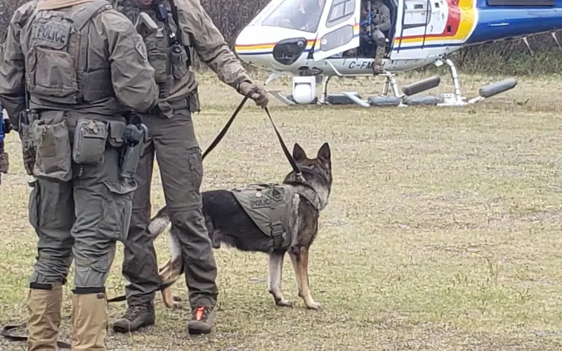 RCMP Choppers, Ground Units Take Training Exercises to Butter Pot Park ...