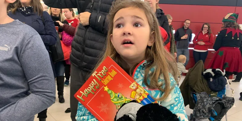 Festive Notes Fill the Air as Crowds Gather to Help Wake the Happy Tree ...