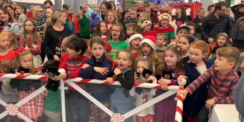 Festive Notes Fill the Air as Crowds Gather to Help Wake the Happy Tree ...