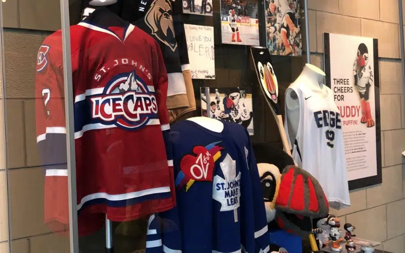 27 Years of Cheers: Exhibit Honours Storied Career of Buddy the Puffin ...