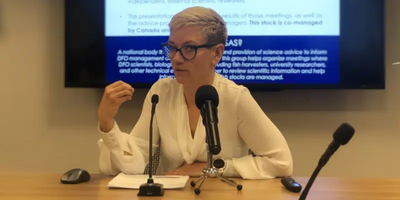 New Cod Assessment Places 3PS Stock in Critical Zone | VOCM