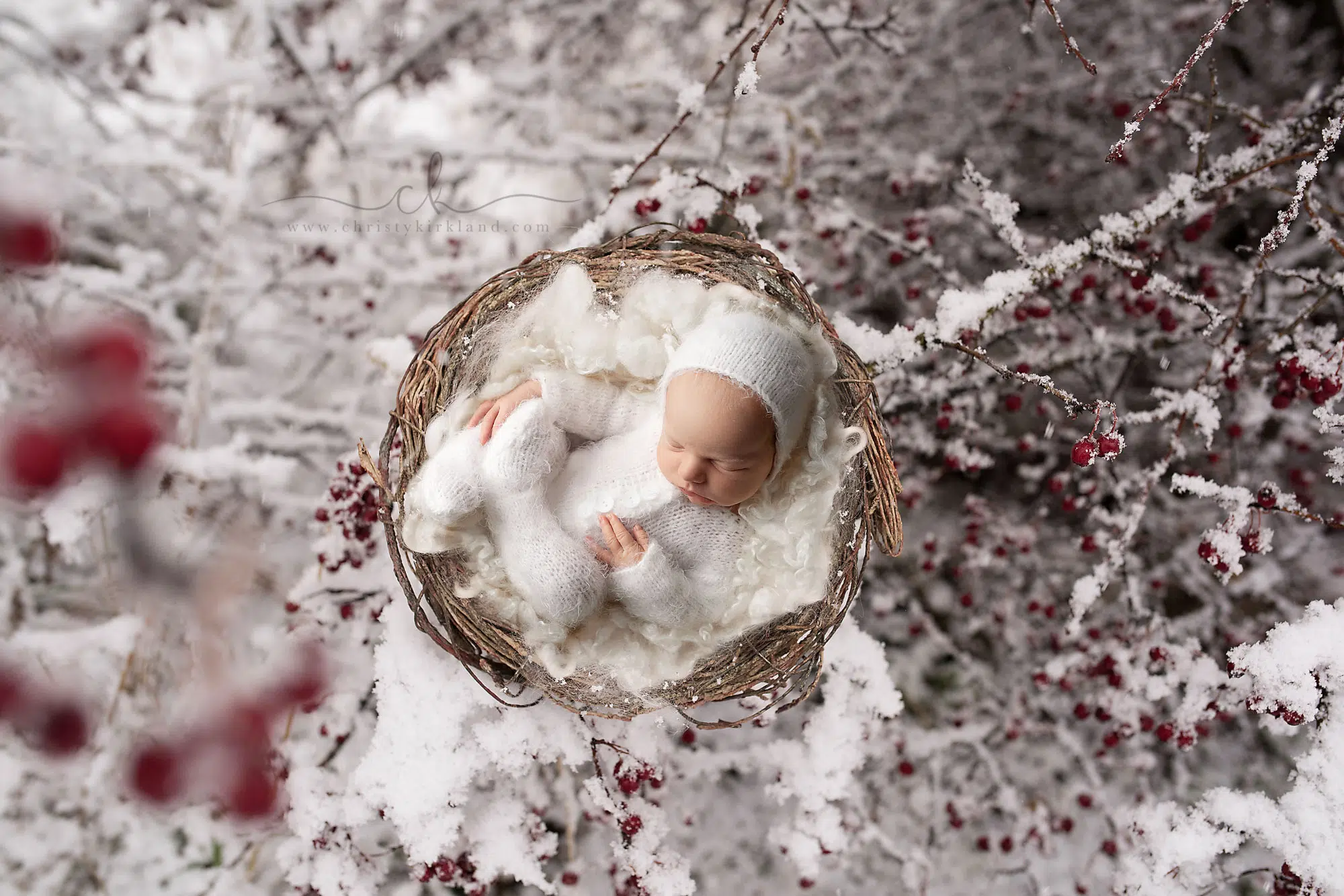Baby Snow, Born at the Height of Storm, Captured on Film by Local ...