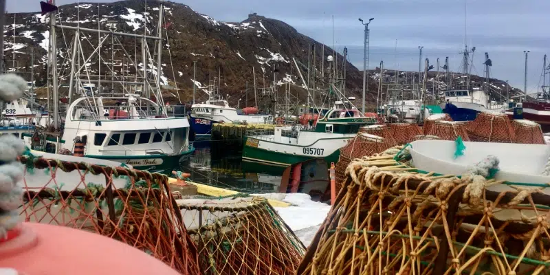 David Lewis Appointed as Chair of Standing Fish Price-Setting Panel | VOCM