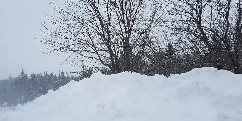 Snowfall Amounts Rising for Eastern Newfoundland Saturday Evening | VOCM