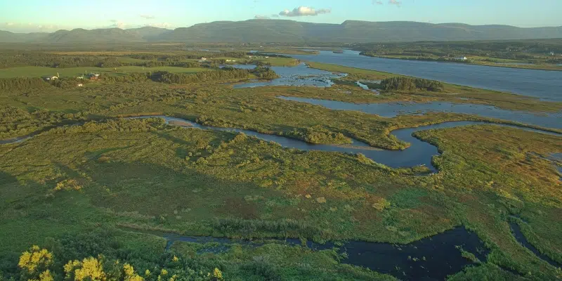 Nature Conservancy Purchases 19 Hectares of Land in Grand Codroy ...