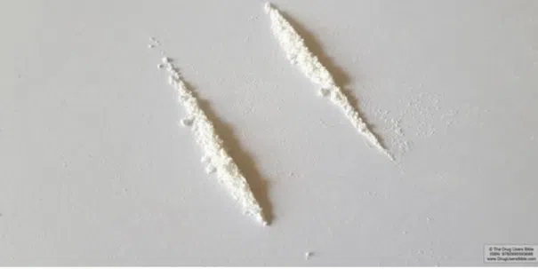 Man at ‘Apex’ of Local Cocaine Suppliers Sentenced to 10 Years in ...